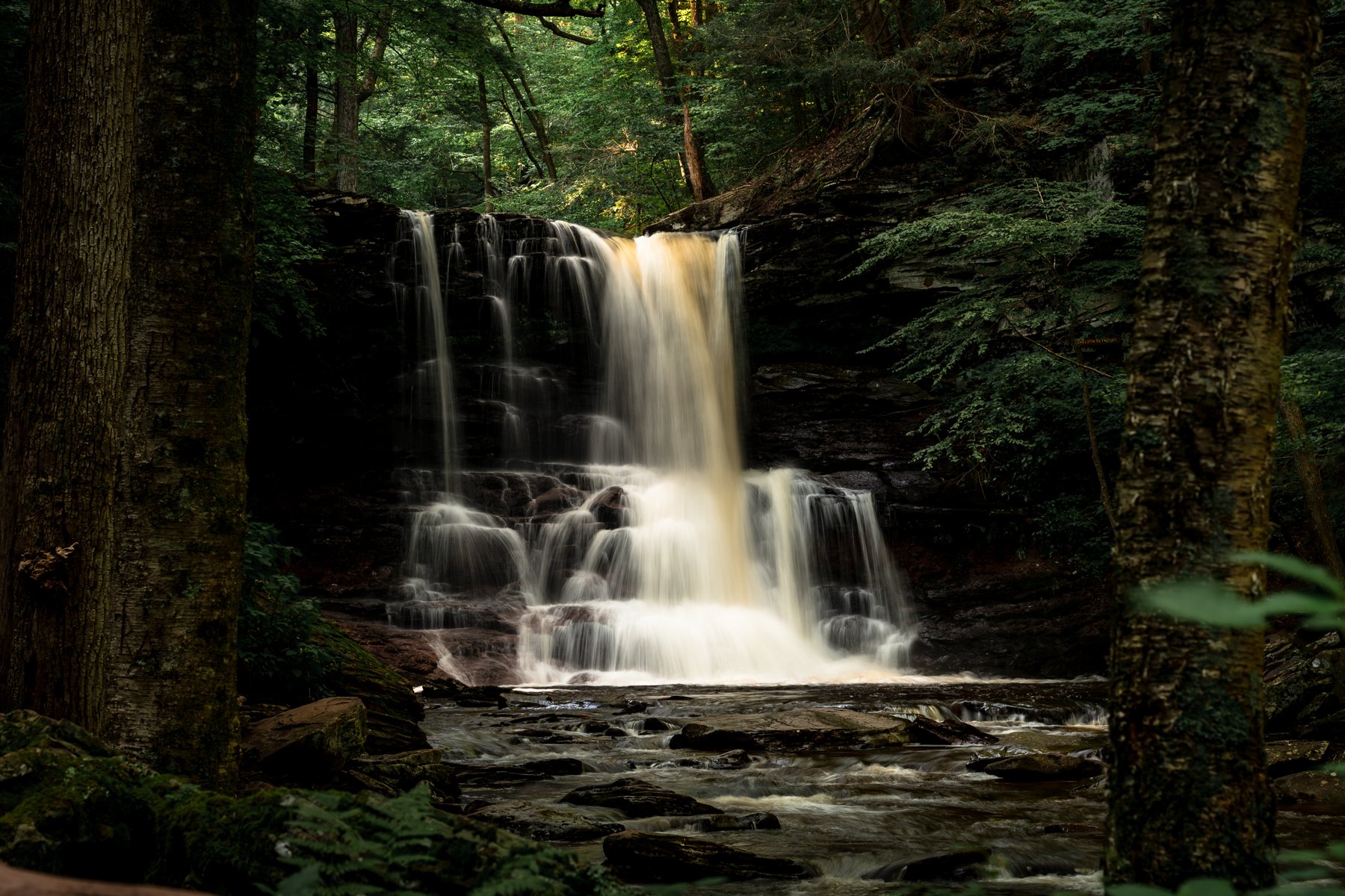 Photolyfe: Andrew Reiss - Stab Mag